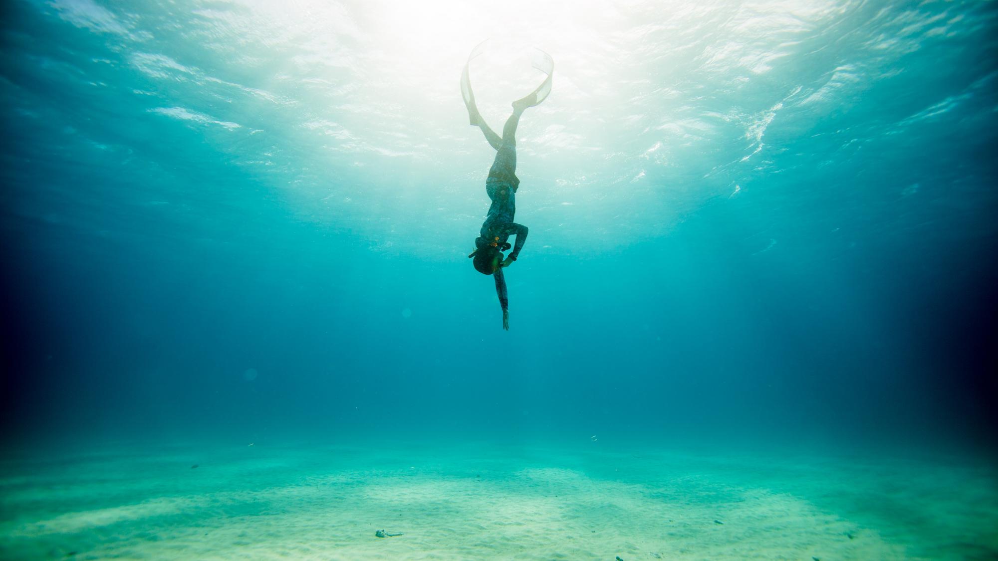 freedive – HifiveOcean